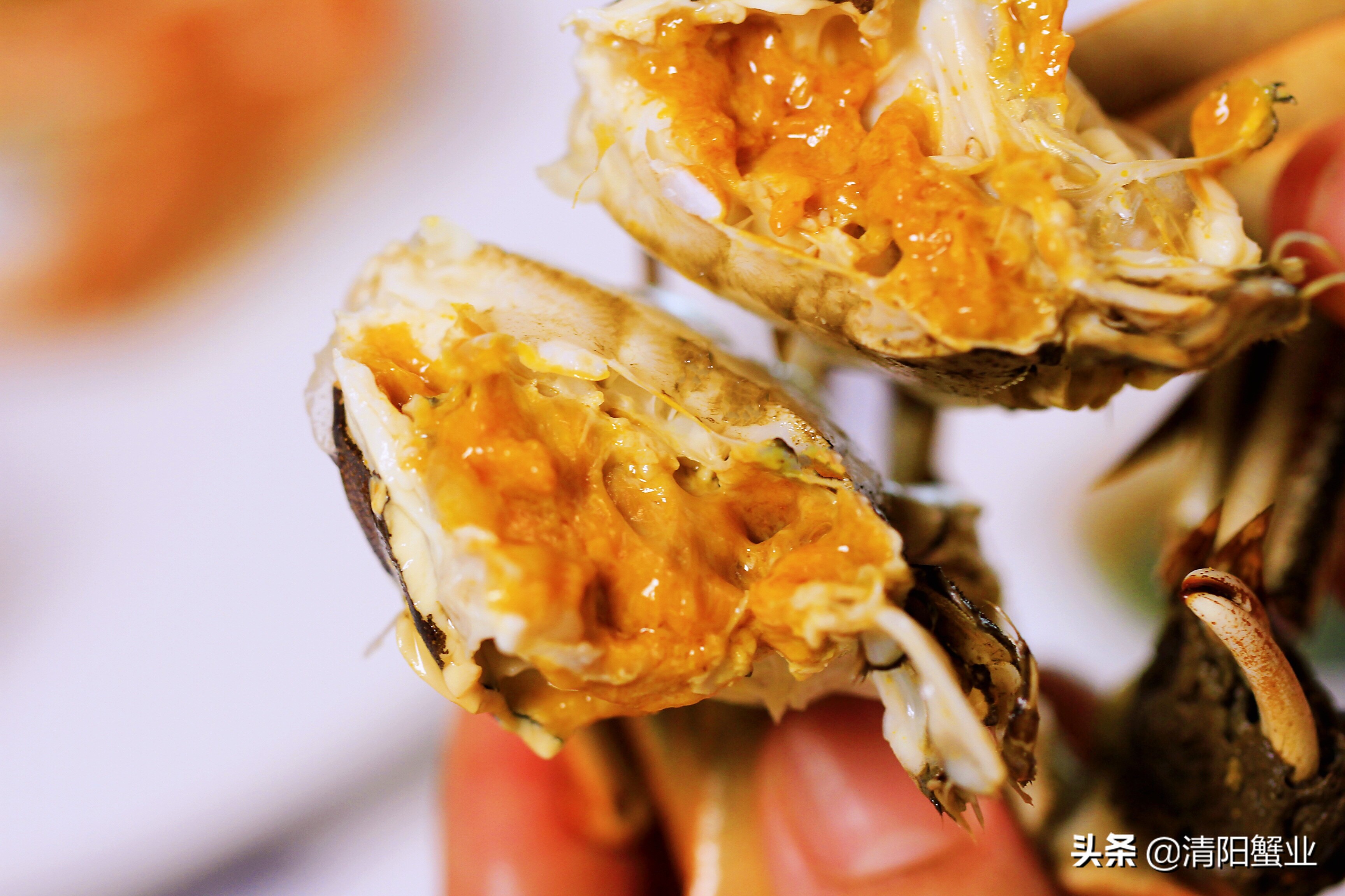 What is unique about June Yellow, which makes the tip of the tongue ...