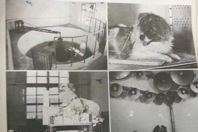 Mysterious "Project 741" to "Project 863", China's manned spaceflight ...