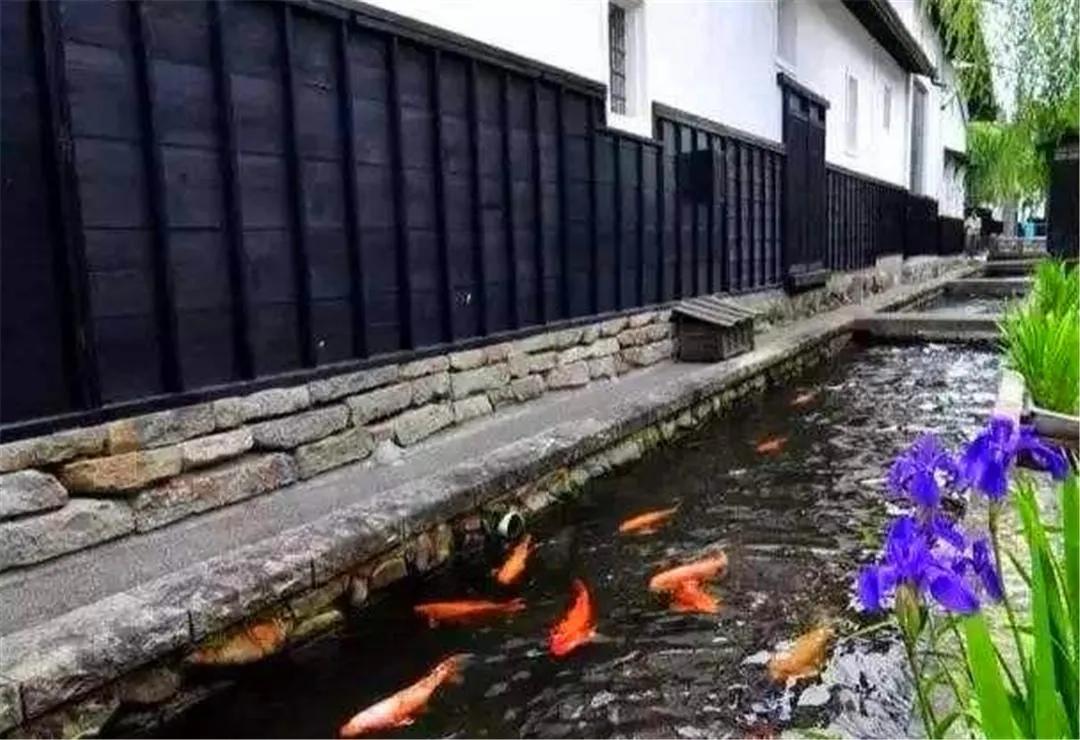 How do Japanese cities carry out flood control and drainage? - iNEWS