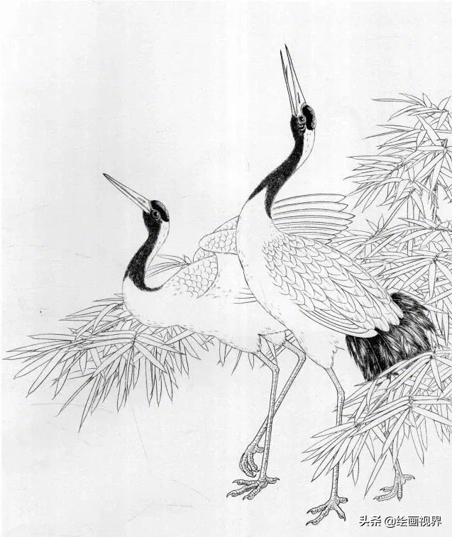 Crane's outline drawing method: Crane is difficult to draw?9 line ...