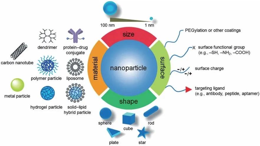Application progress of micro-nano motors in drug delivery - iNEWS