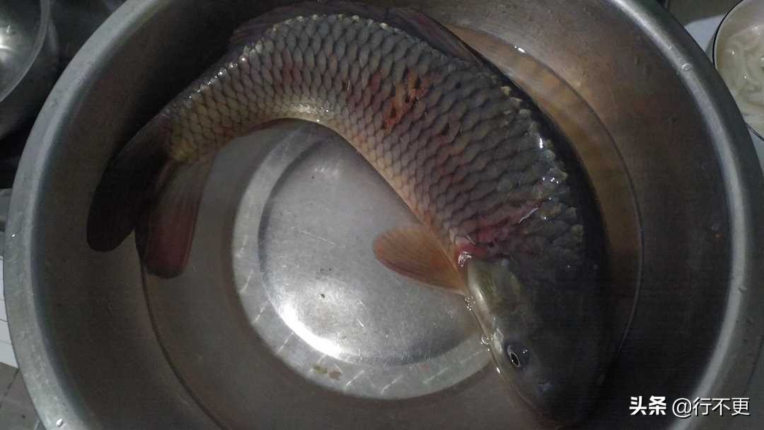 Appetizer essential: hot and sour and delicious sauerkraut fish, very ...