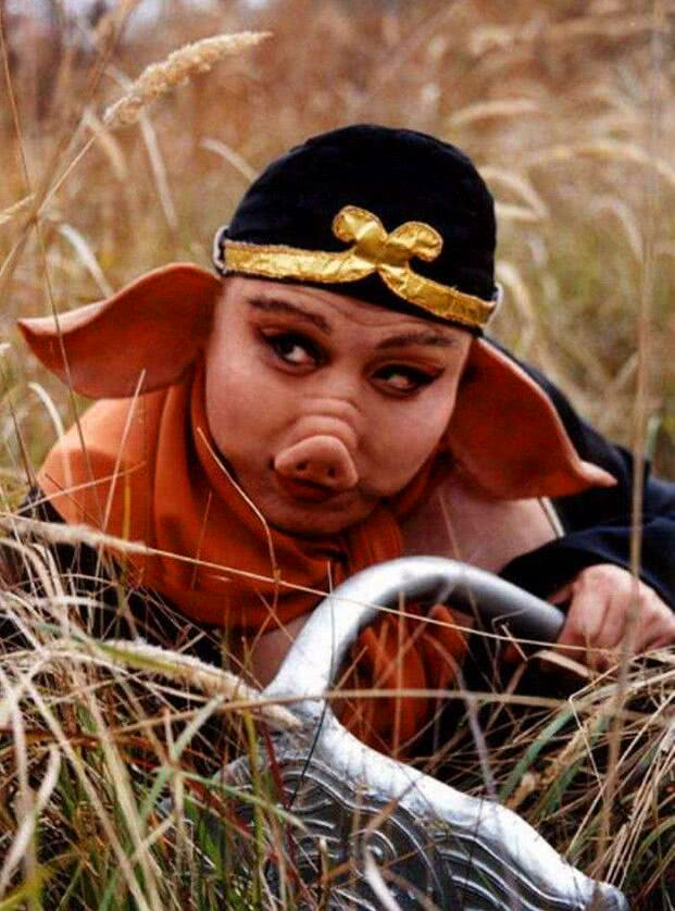 Ma Dehua: Because of the popularity of "Journey to the West", there has ...