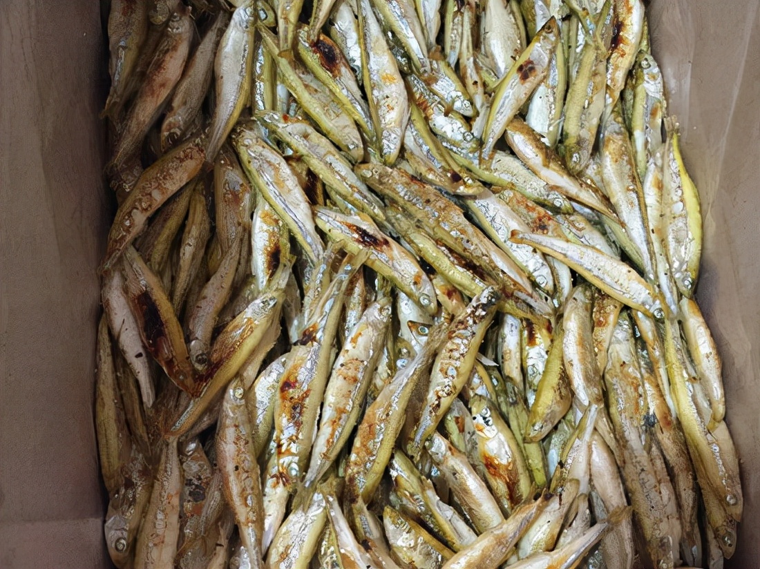 Pond marsh male fish, delicious and nutritious - iNEWS