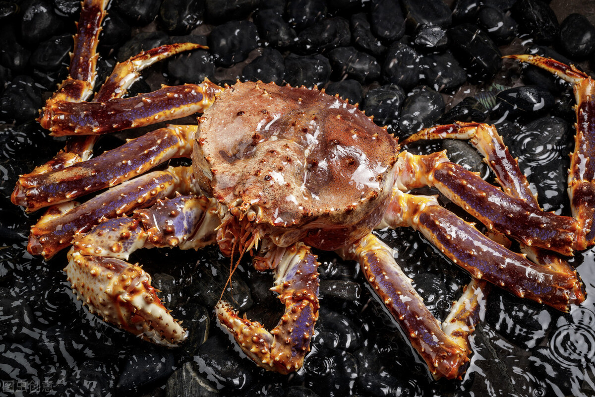 Why are king crabs eaten at buffets, so often they only have crab legs ...