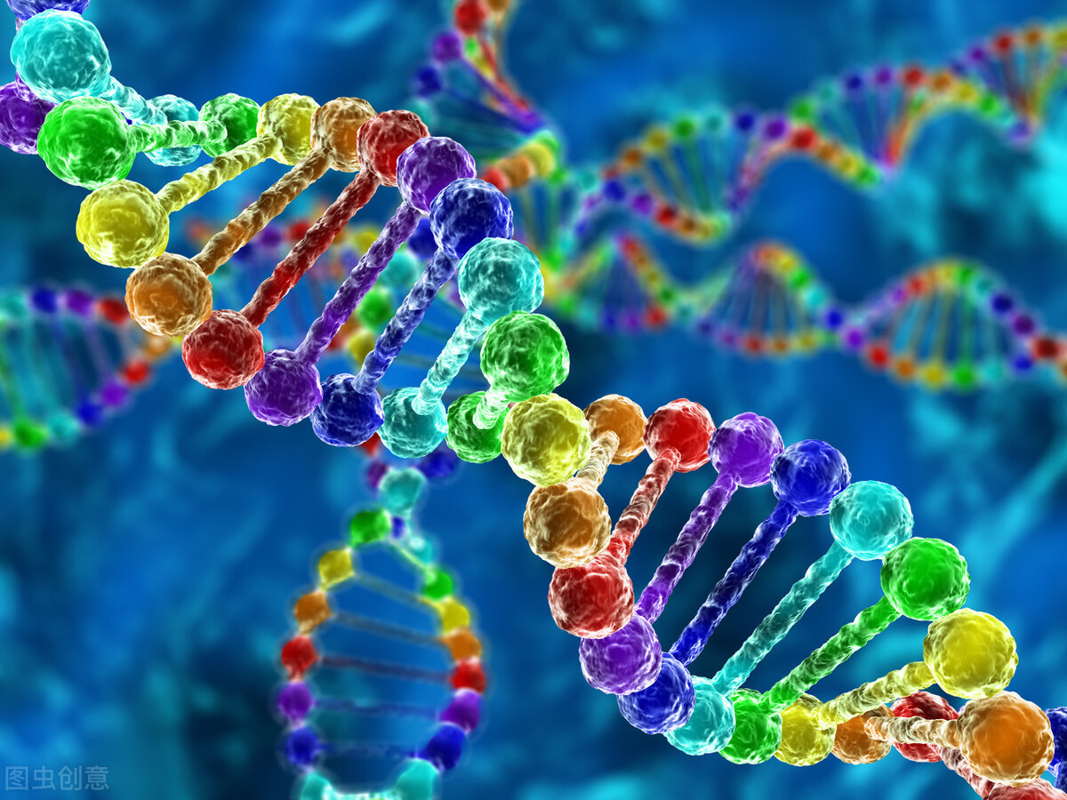 American scientists have artificially synthesized bacteria that can ...