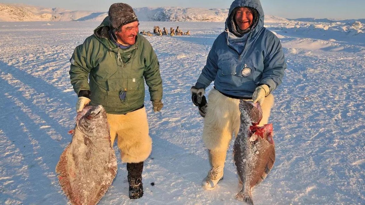 Inuit's delicacy "Pickled Puffin", sucks with the mouth after rotten ...