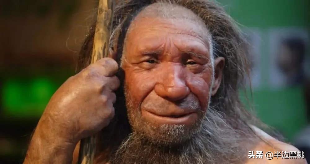 8 examples of human cannibalism in human history, traceability includes ...