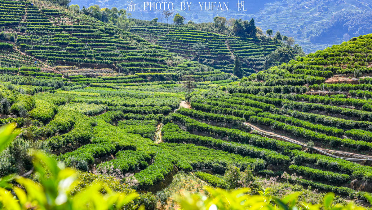 The low-key No. 1 mountain in eastern Guangdong, the mountains are full ...