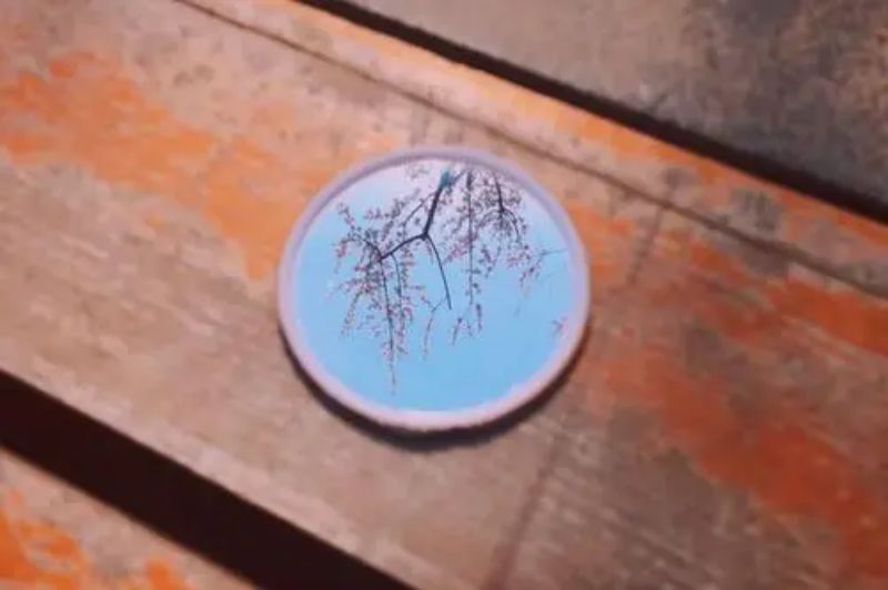 "In the Mirror": A beautiful but very unpopular poem, the artistic ...