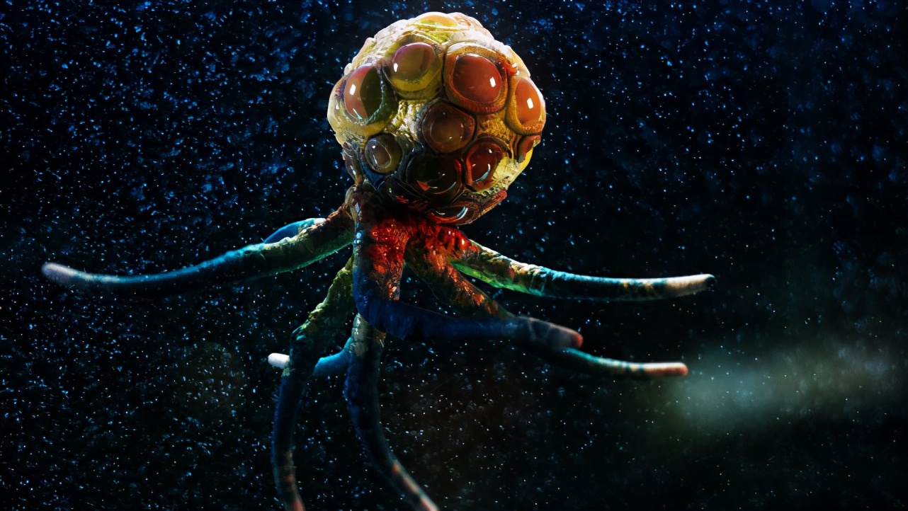 Octopuses may come from aliens. Why didn't they evolve wisdom first ...