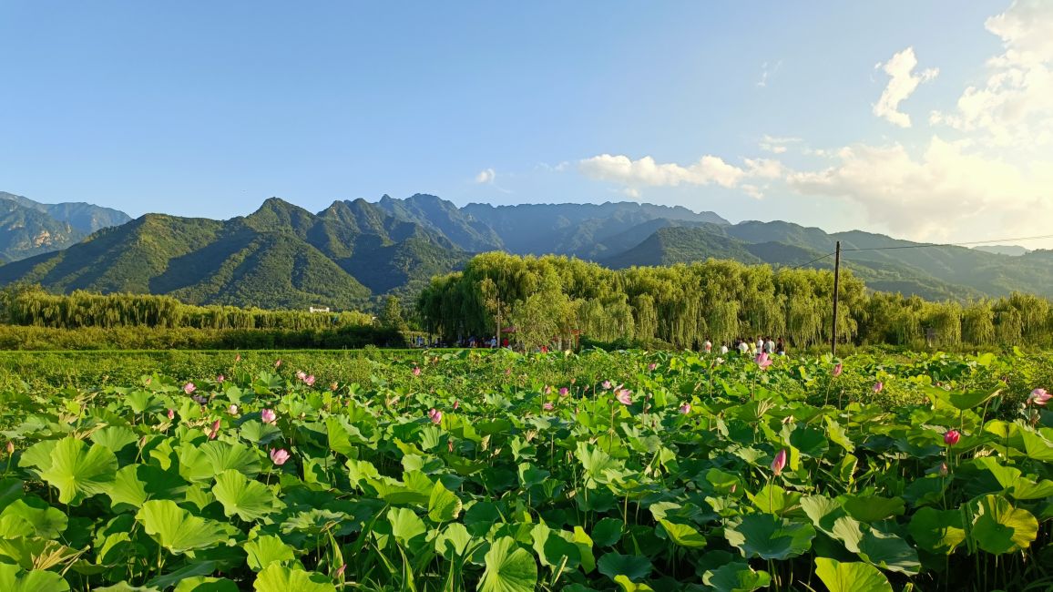 Feel the wisdom of life in "Zeng Guang Xian Wen" (5) Poor in the ...