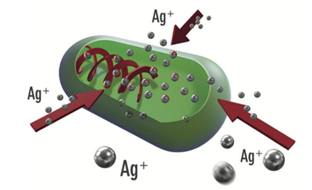 In ancient times, people used silver needles to test poison. Is it ...