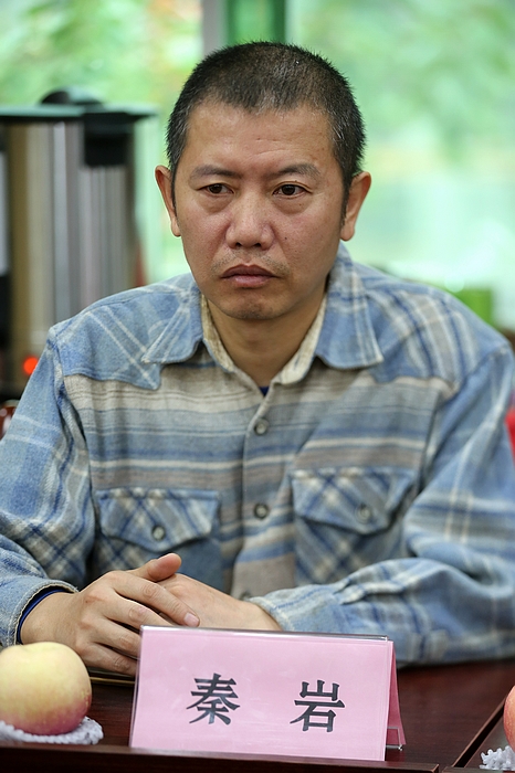 About Qin Yan and "Zhou Qin Han Tang" and "Qin" art design and ...