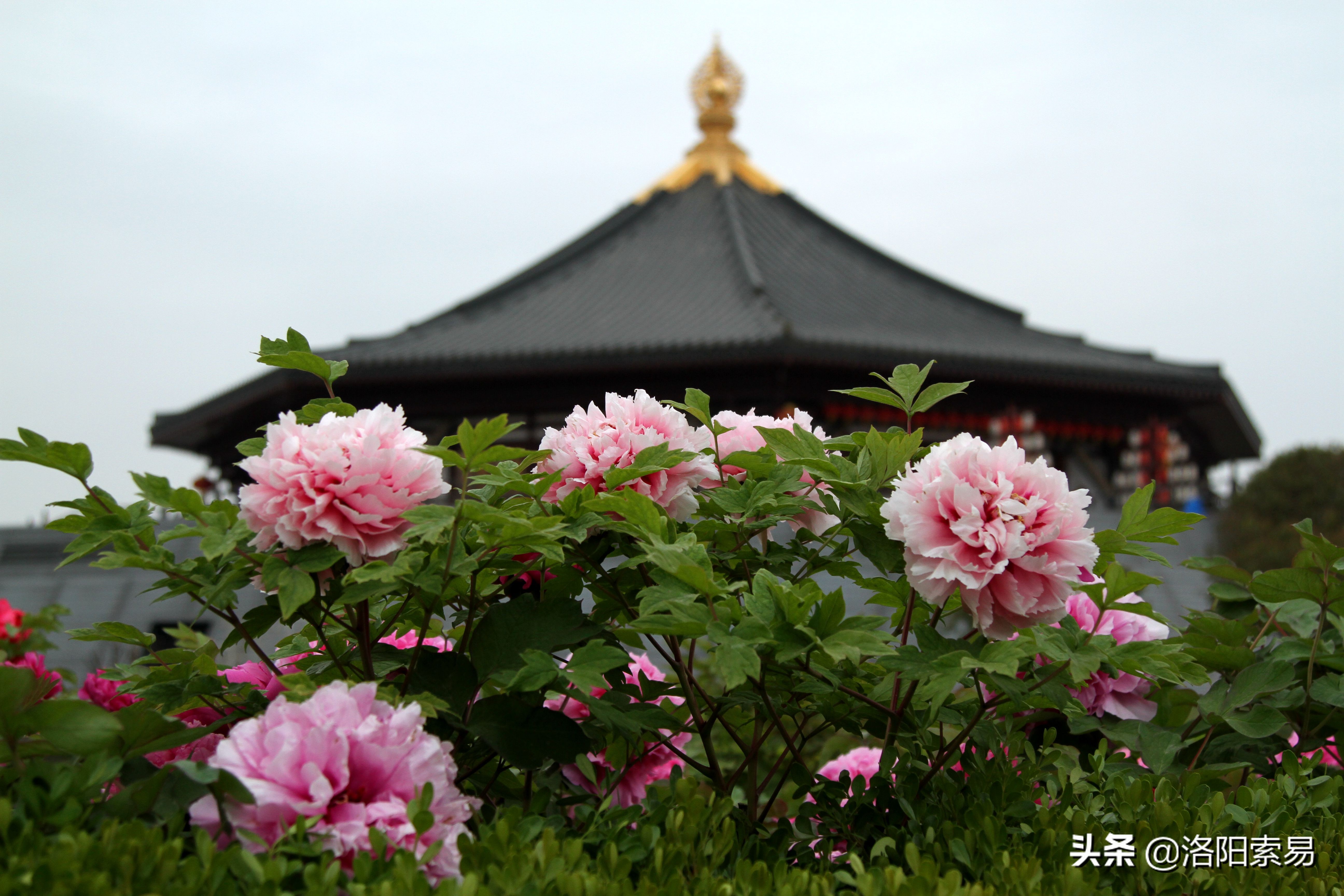 The Emperor Liang Fei Emperor Zhu Yougui, who was ruling in Luoyang - iNEWS
