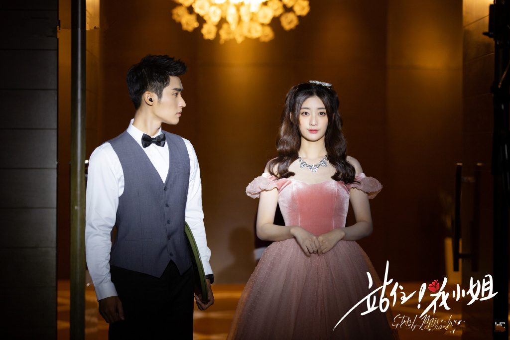 "stop!"Miss Flower" premiered, hilarious and funny, very sweet pet, Qi ...