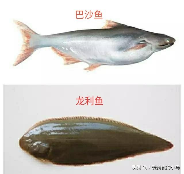 "Longli Fish" is tender and delicious, and many people love it. The ...