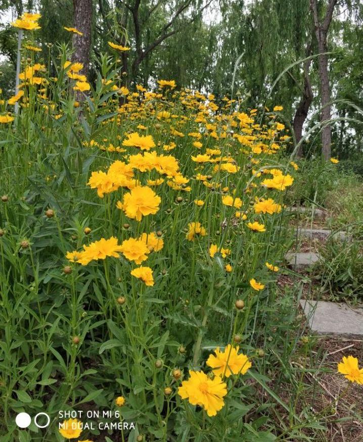 Click to end 12- Bai Juyi: once fought for love and left inexhaustible ...