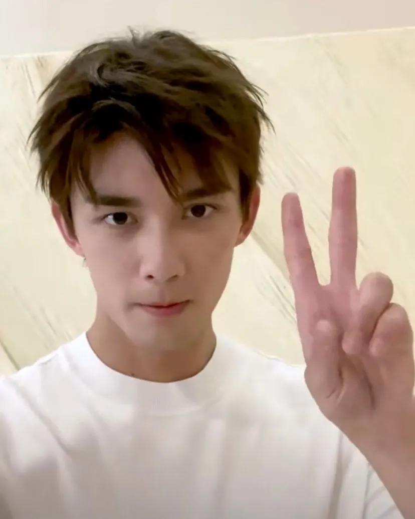 Xiao Zhan Yang Mi Yang Yang Gong Jun Jay Chou Ren Jialun Li Qin Zhang ...