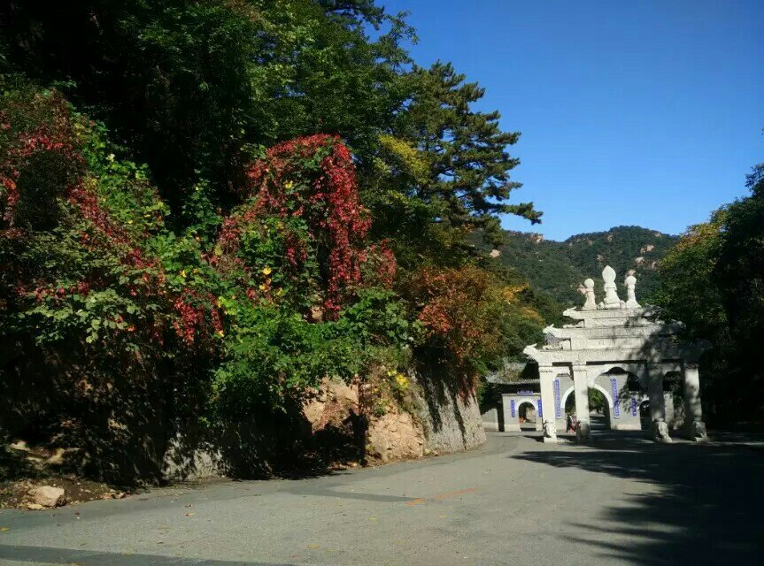 Su Zhe Annotated Dao De Jing Shu Cheng·De Jing·Tao Sheng Chapter 51 - iNEWS