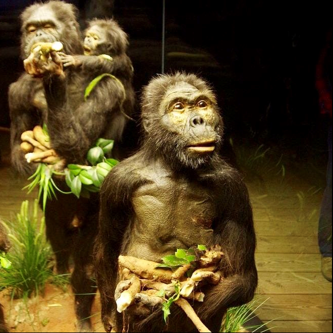 What is the key step of the ancient ape "from monkey to human"? Why did ...