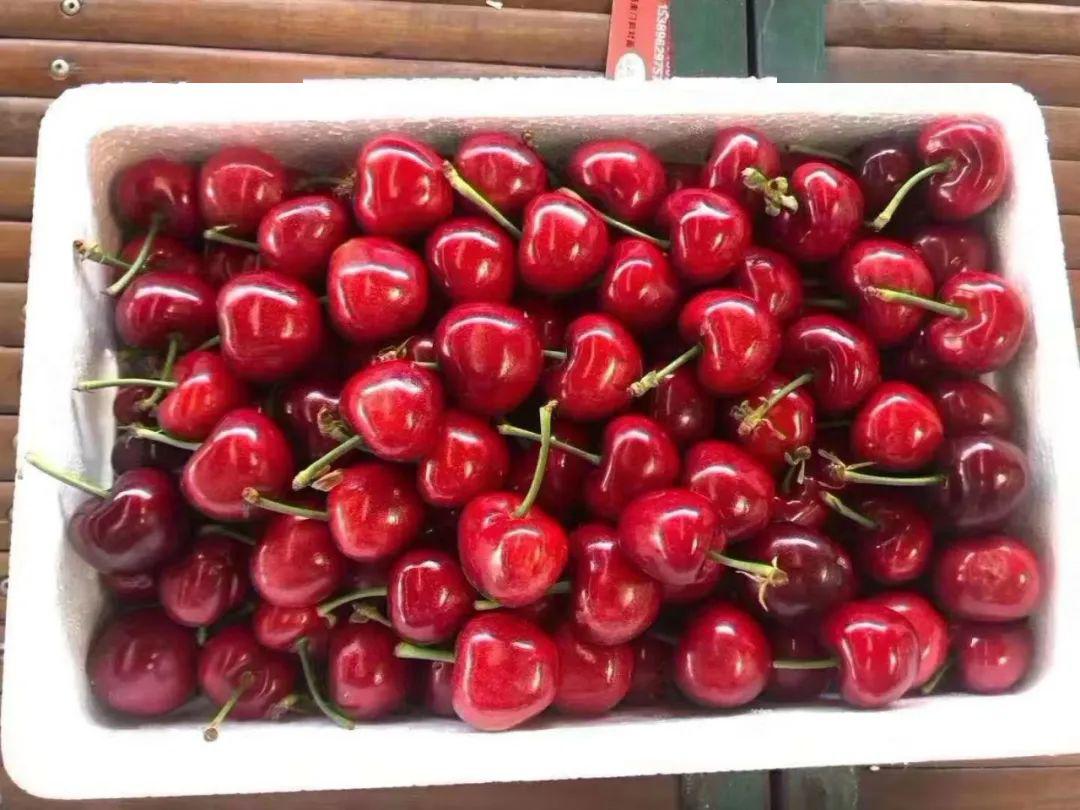 What is the little white worm that is soaked in cherries?Is it harmful ...