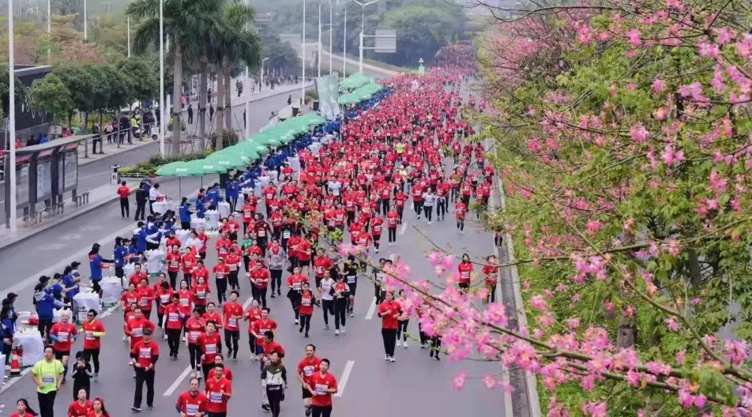 Marathon: fatigue and recovery after training - iNEWS