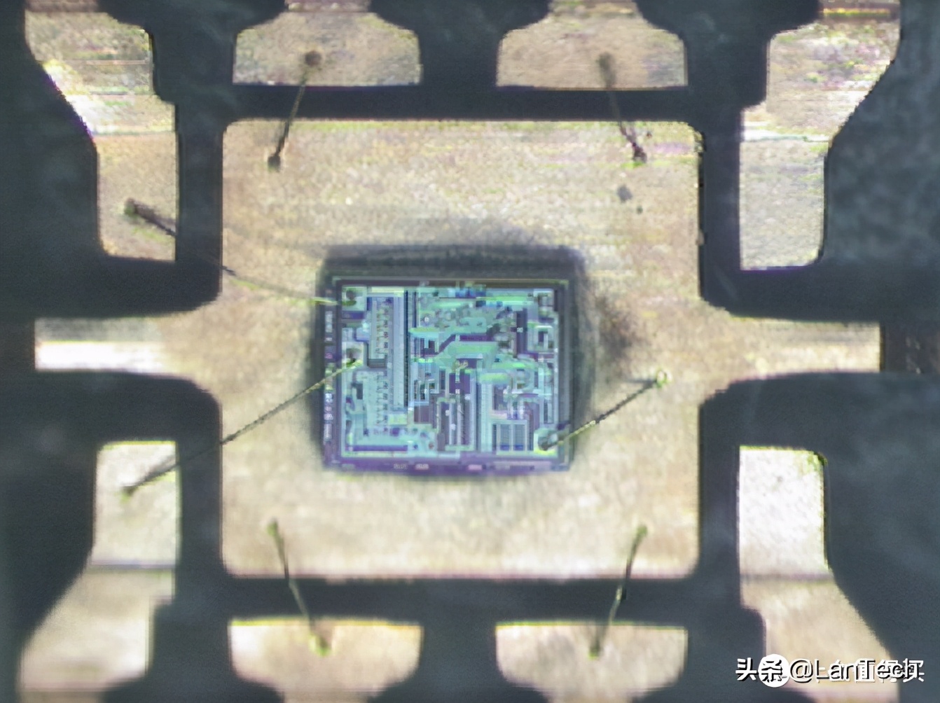 What does the chip look like? Scanning electron microscope ...