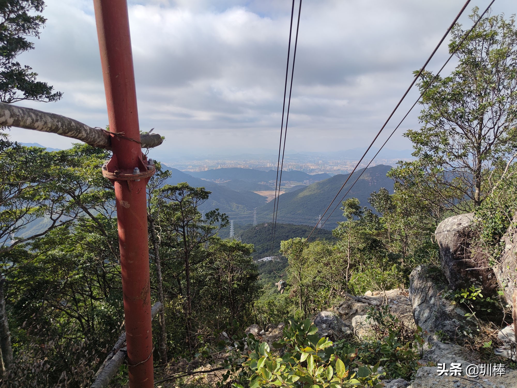 The Shenzhen hiking trail burns to the sky, and the reeds on the top of ...