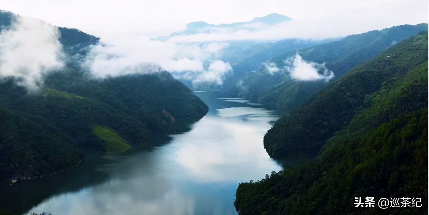 Seeking the "Source" of Tea·The Last Secret Land of China-Lincang - iNEWS