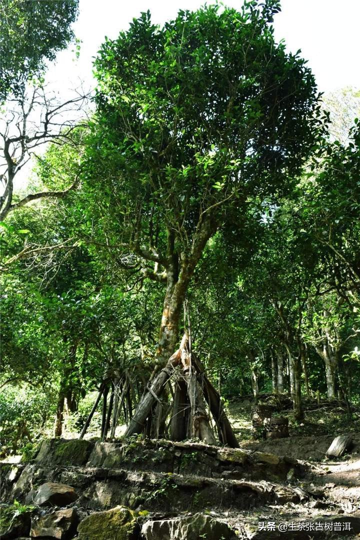 The ancient village of Zhanglang for a thousand years, the most famous ...