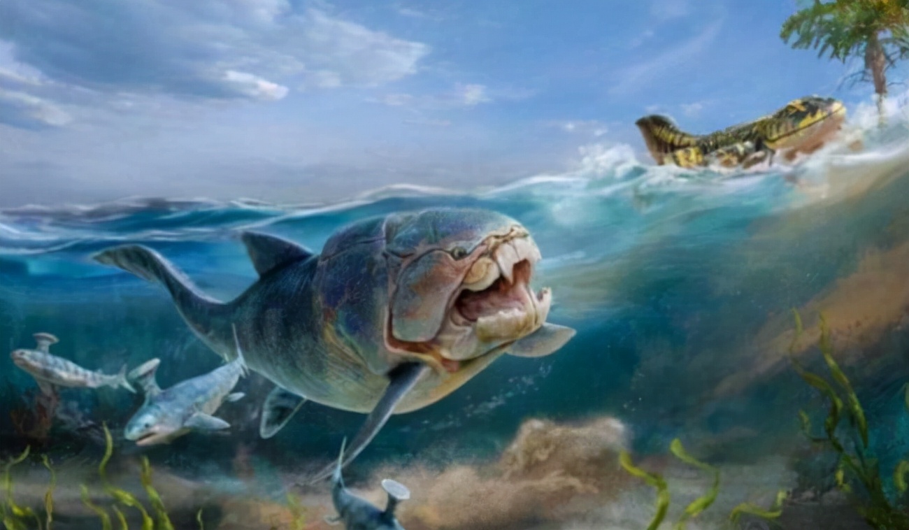 All signs of scientists have shown that the earth may be entering the ...