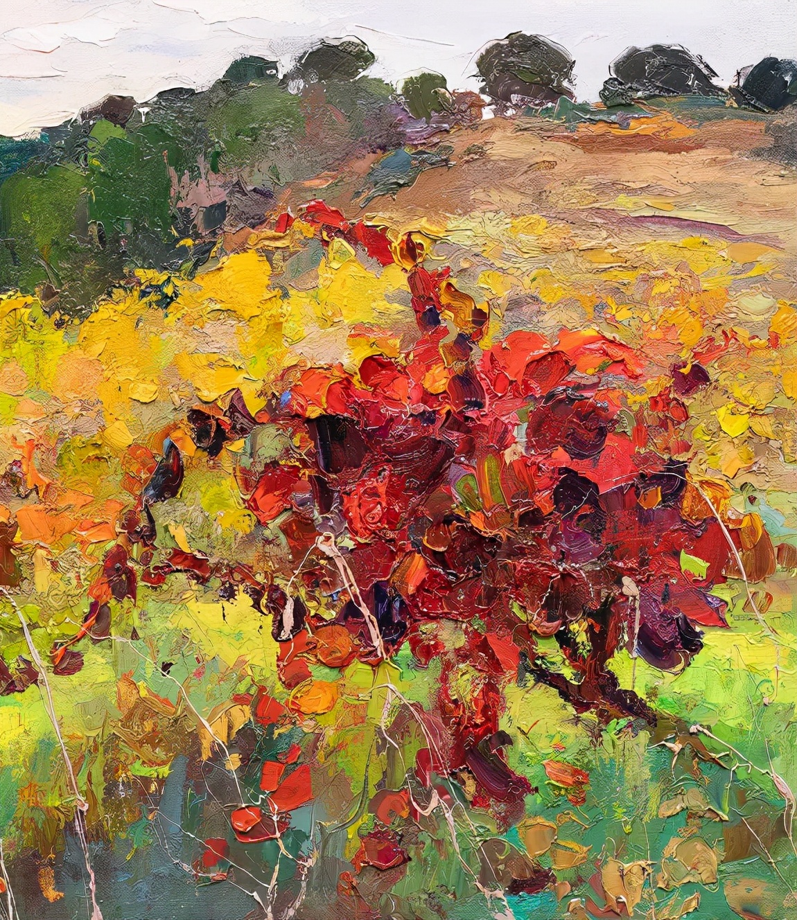 Ramon Villanova Spain - iMedia