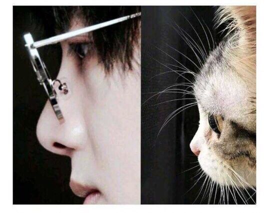 About the fact that Hua Chenyu is a cat: Hey!Did you find me? - iMedia