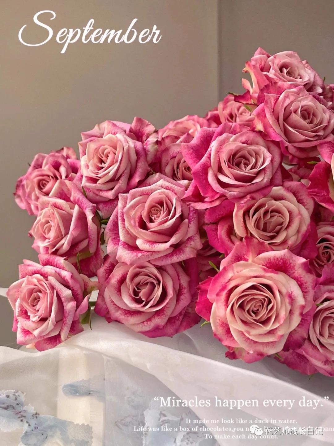 Oil painting style rose flinders lane, retro roses soaked in oil paint ...