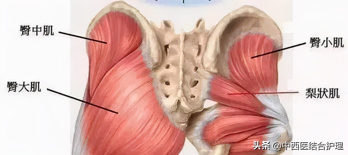 "Acupoint health preservation", "Up to the waist, down to the feet ...