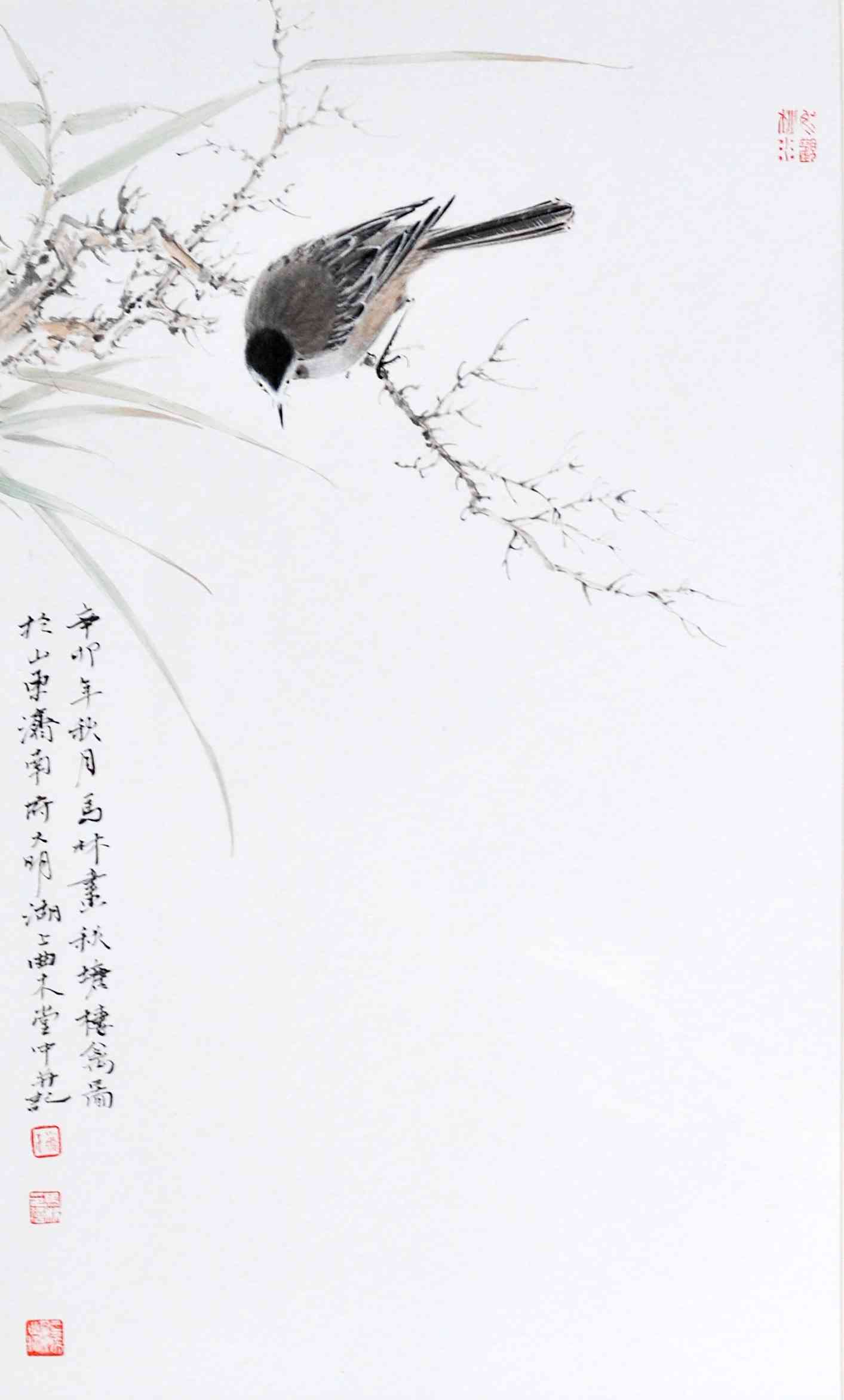 Taste the flower and bird paintings of young painter Ma Lin - iNEWS
