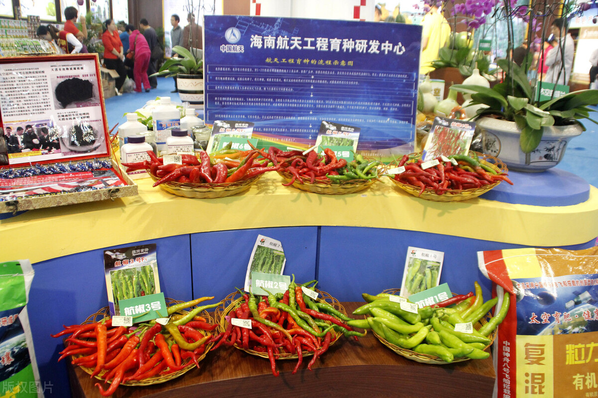 What kind of magical breeding technique is space breeding? - iNEWS