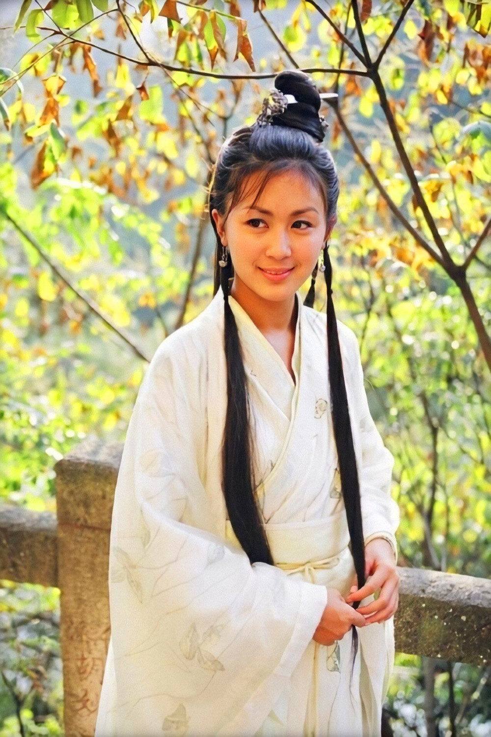 "The Legend of the Double Dragon of the Tang Dynasty": The modeling ...