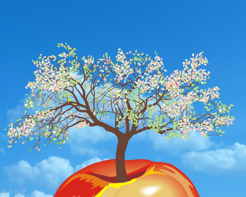 Can I eat apples before going to bed? - iNEWS