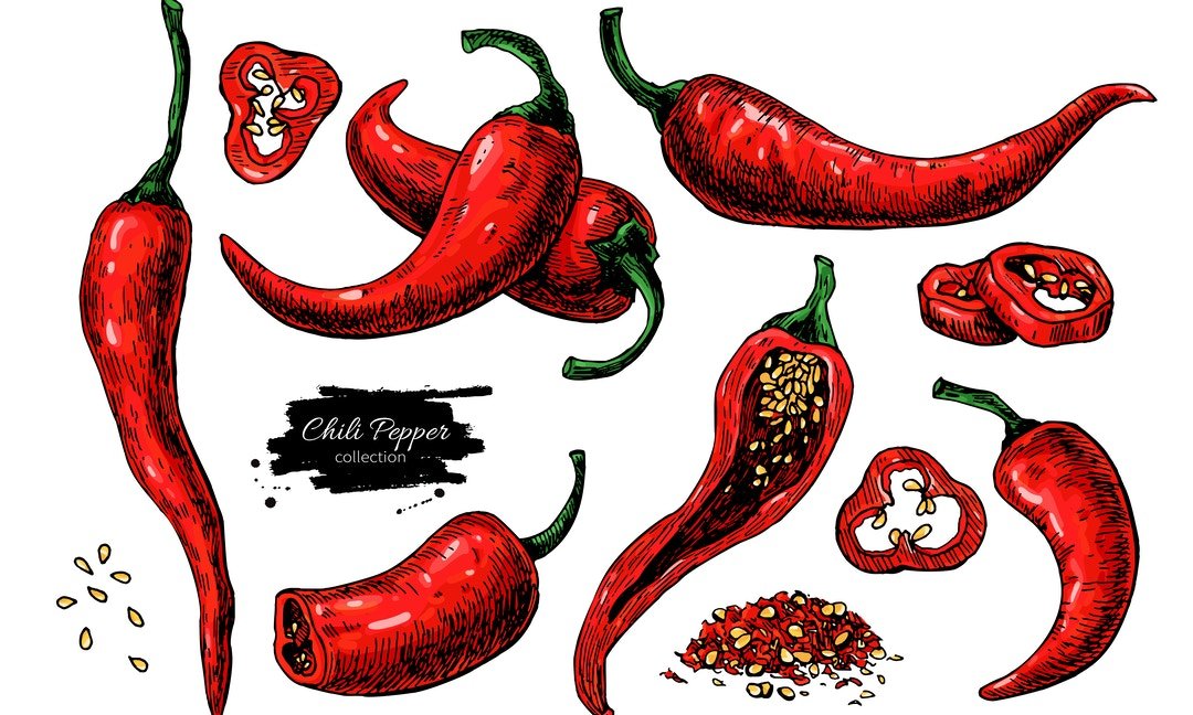 Explore the ancient Chinese chili, its history, and its cultural value ...