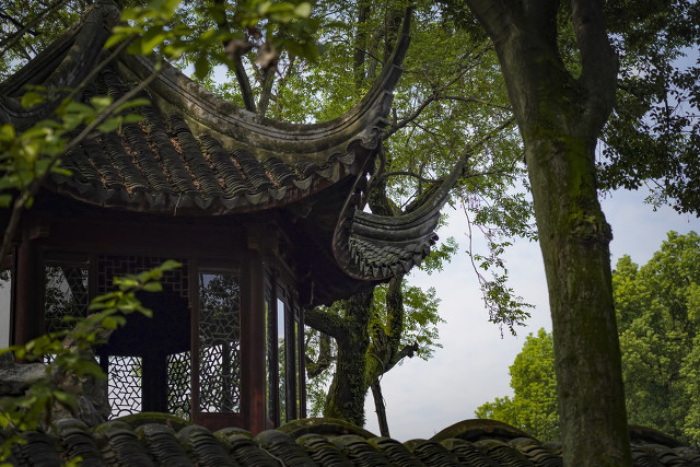 During the Warring States Period, if Lin Xiangru didn't give up to Lian ...