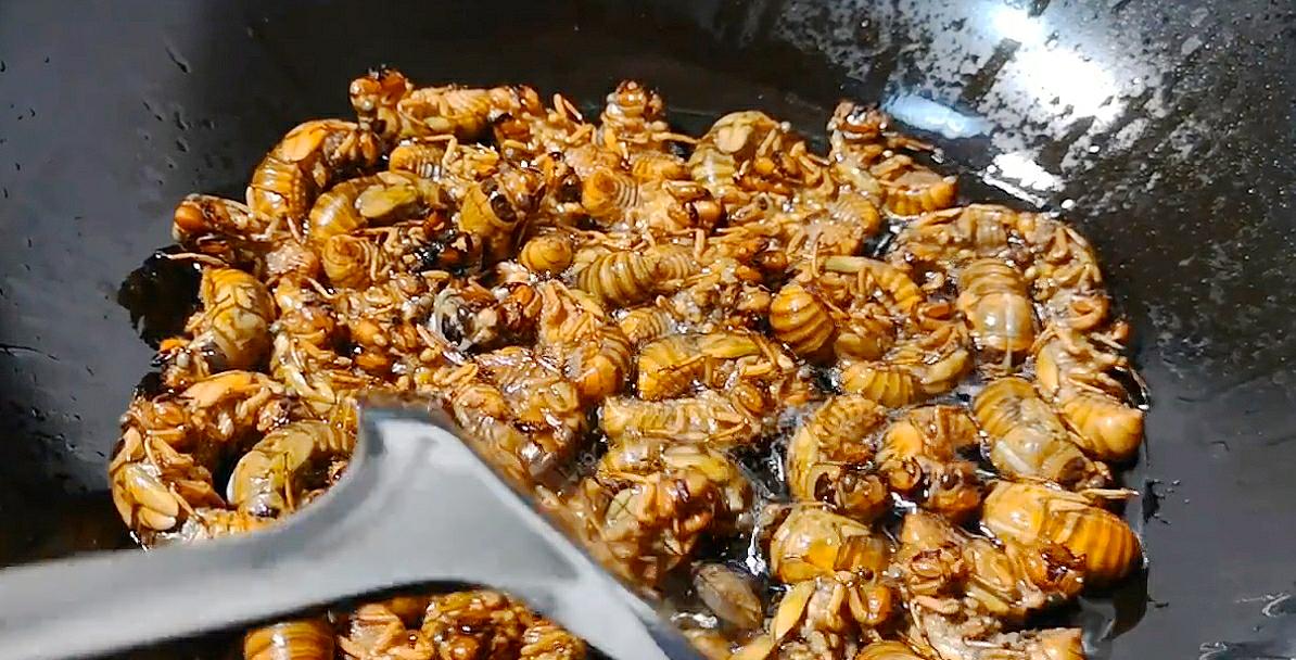 Deep-fried golden cicadas, you will be wrong if you fry them first. I ...