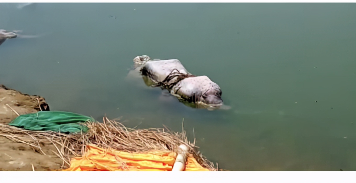 After hundreds of corpses floated in the Ganges, the Indian national ...
