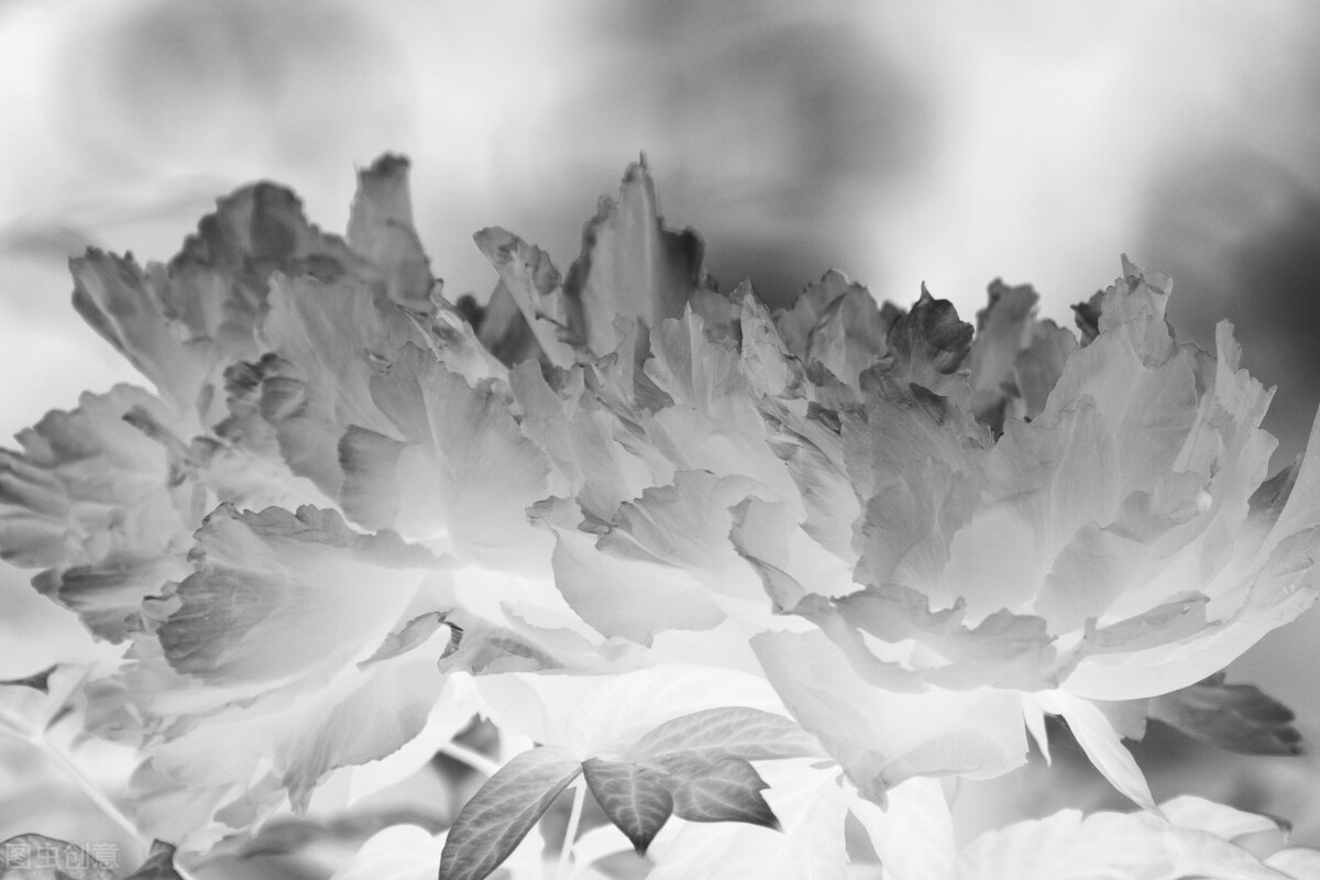 What is the secret of using calligraphy pens?Ming Dynasty's Xu Wei said ...