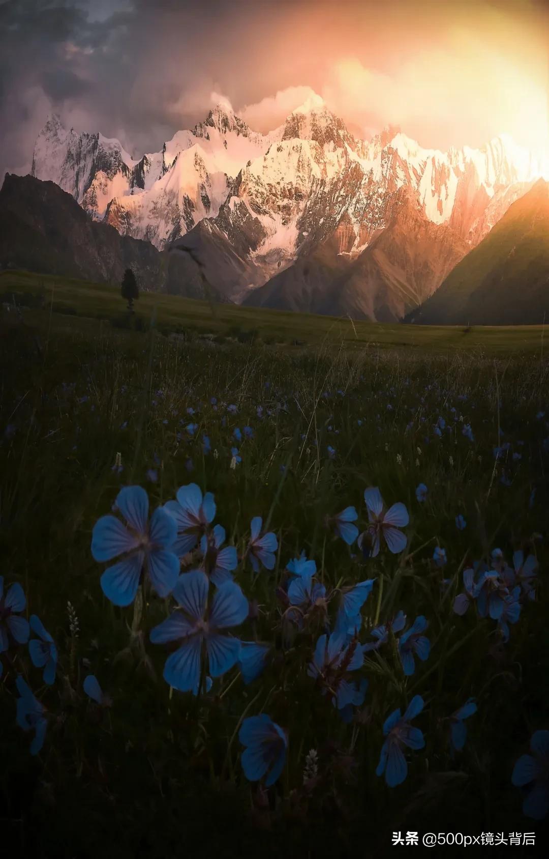 Vision China 500px Photographer·Qi Zhiyuan: Late Stage——50% of ...