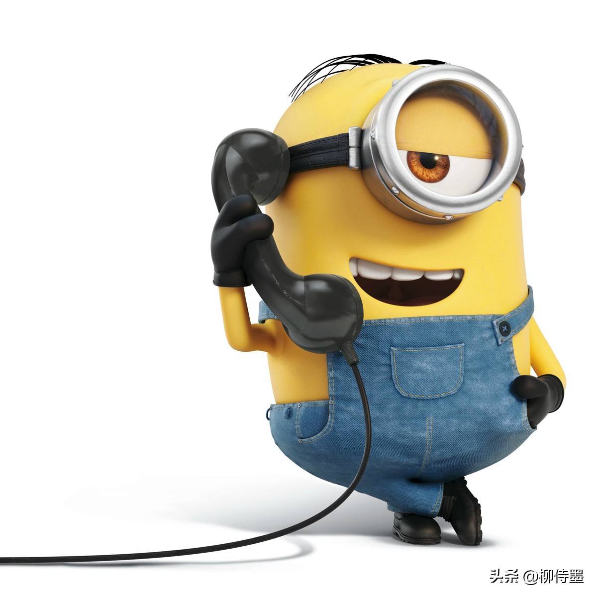 The creativity of lotus photography is difficult!It's not ...