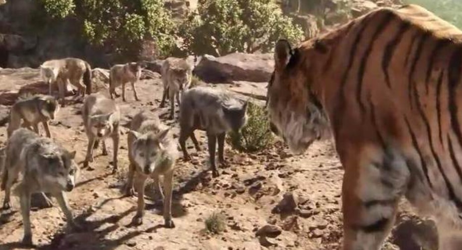 The Western powers used "wolf tactics" to besiege China. How did they ...