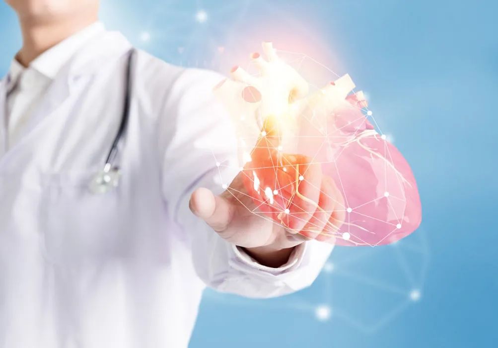 What is the myocardial bridge? - iNEWS