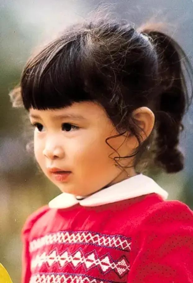 Charmaine Sheh, born in Shaolin Temple, rose from Emei School - iNEWS